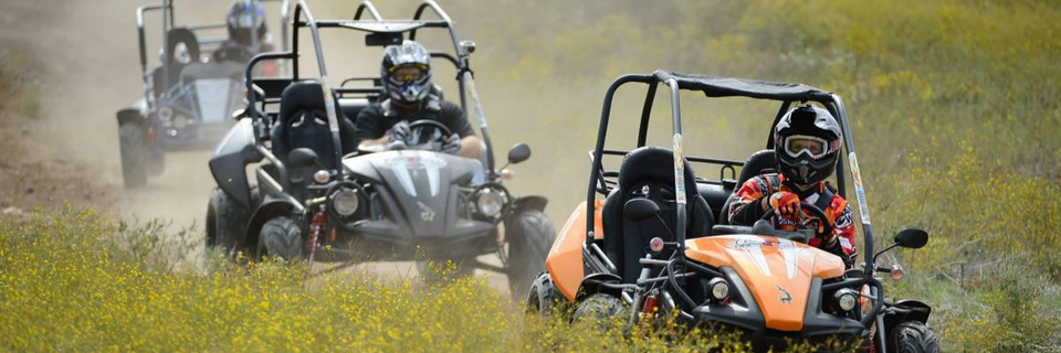 Hammerhead Off Road Buggies | About Us