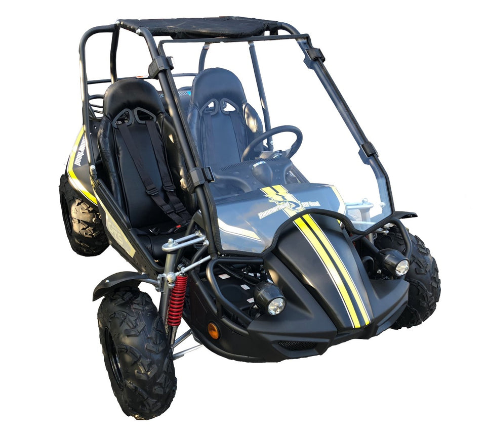 The Hammerhead GTS150 Off Road Buggy